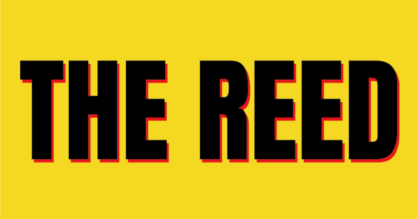 더리드(THEREED), 물에 넣자마자 바로 사용할 수 있는 분말 핸드워시 개발